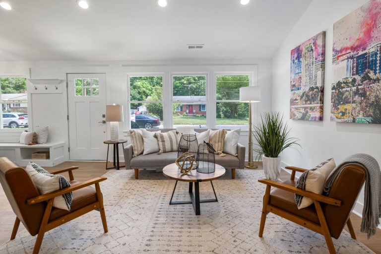 Sala com plantas: conheça 7 espécies e saiba como decorar