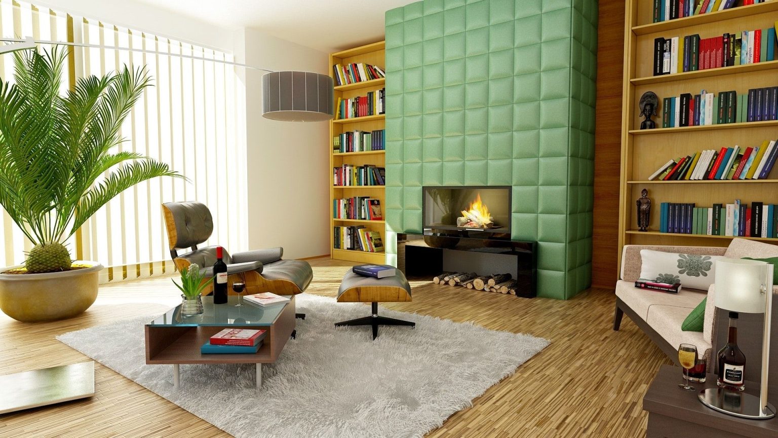 Sala com plantas: conheça 7 espécies e saiba como decorar
