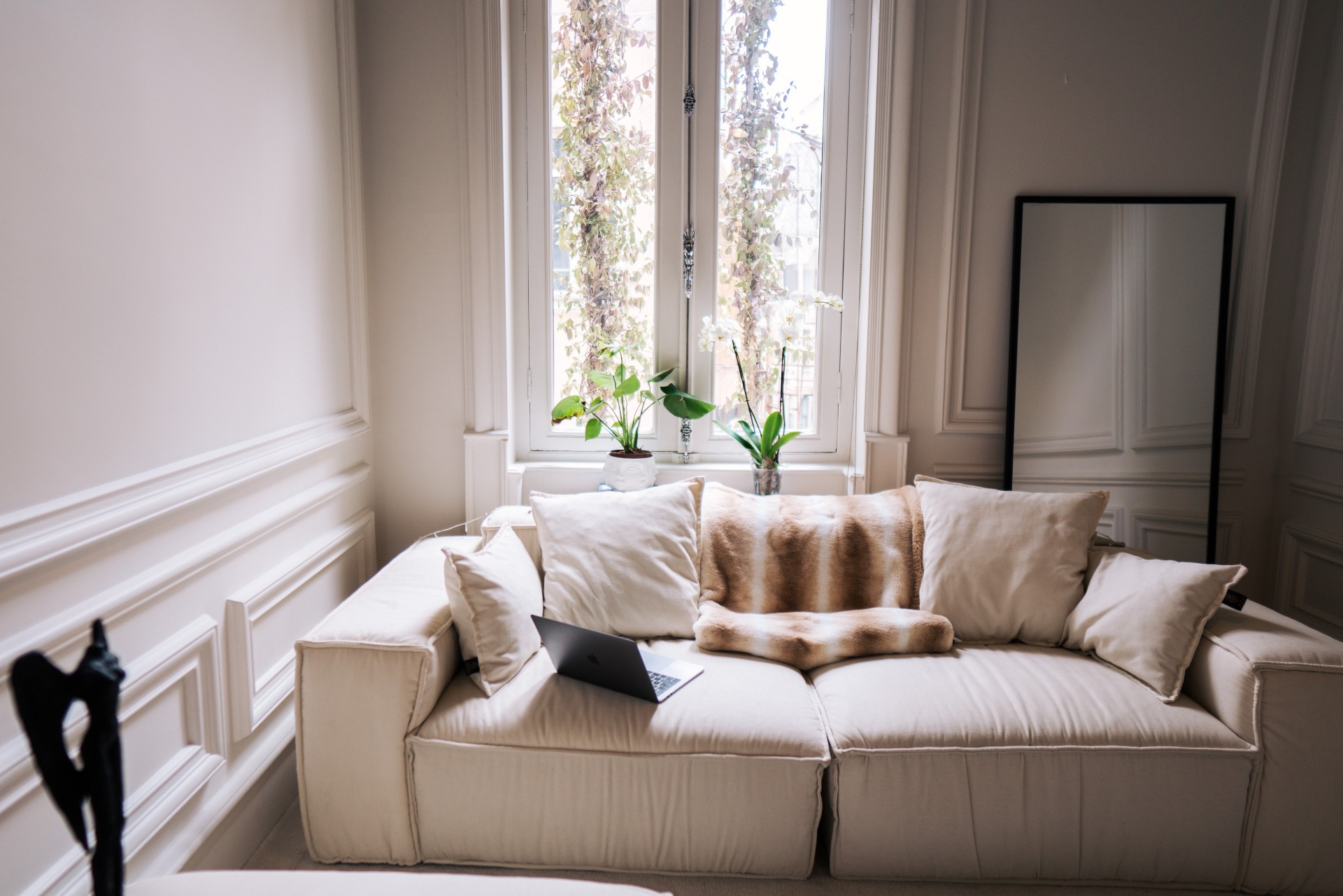 Sala com plantas: conheça 7 espécies e saiba como decorar
